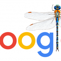Google chiude il progetto Dragonfly, browser “pulito” per il mercato cinese