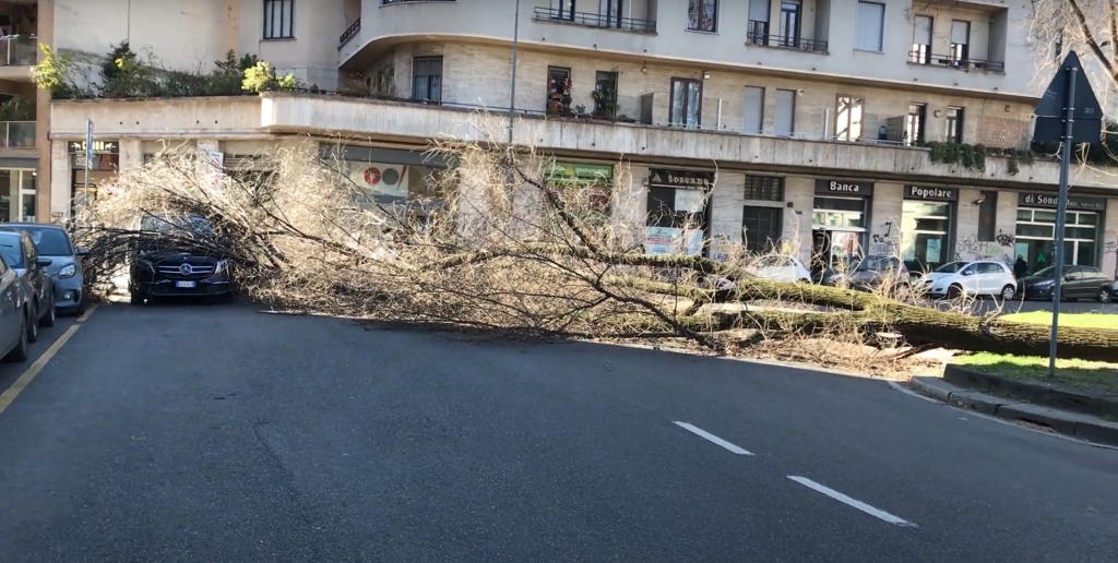 Tetti divelti, traffico deviato: i danni del vento a Milano
