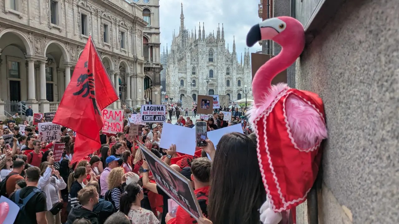 La Flamingo Revolution contro Kushner infiamma l’Albania - MasterX